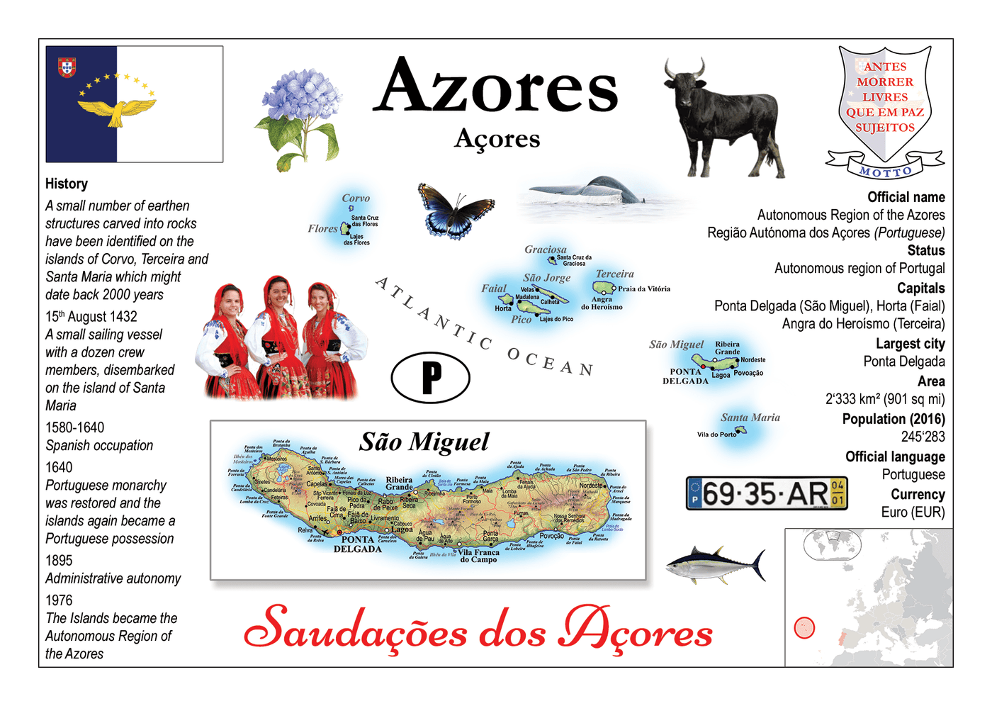 Portugal Collection| Postcards Market