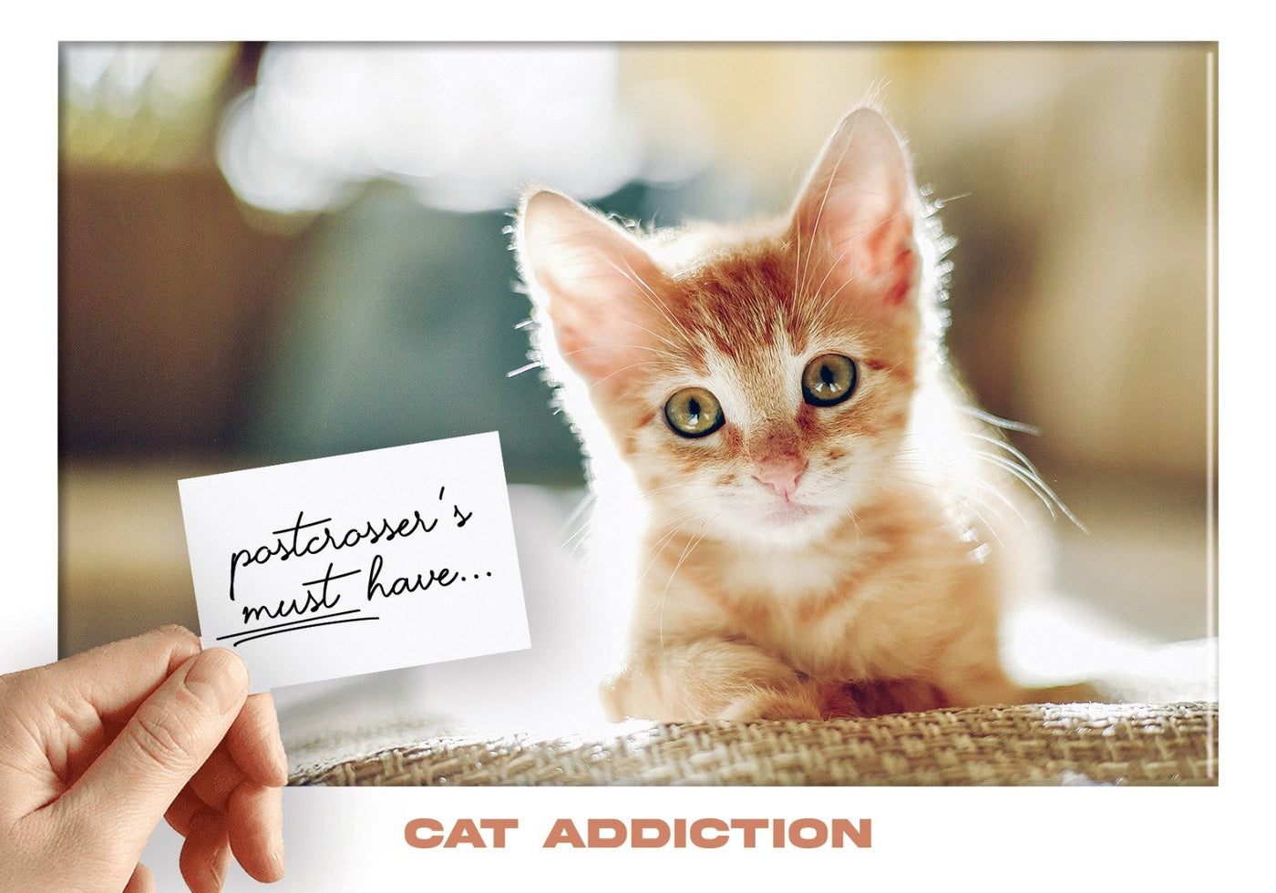 Postcrosser's Must Have| Postcards Market