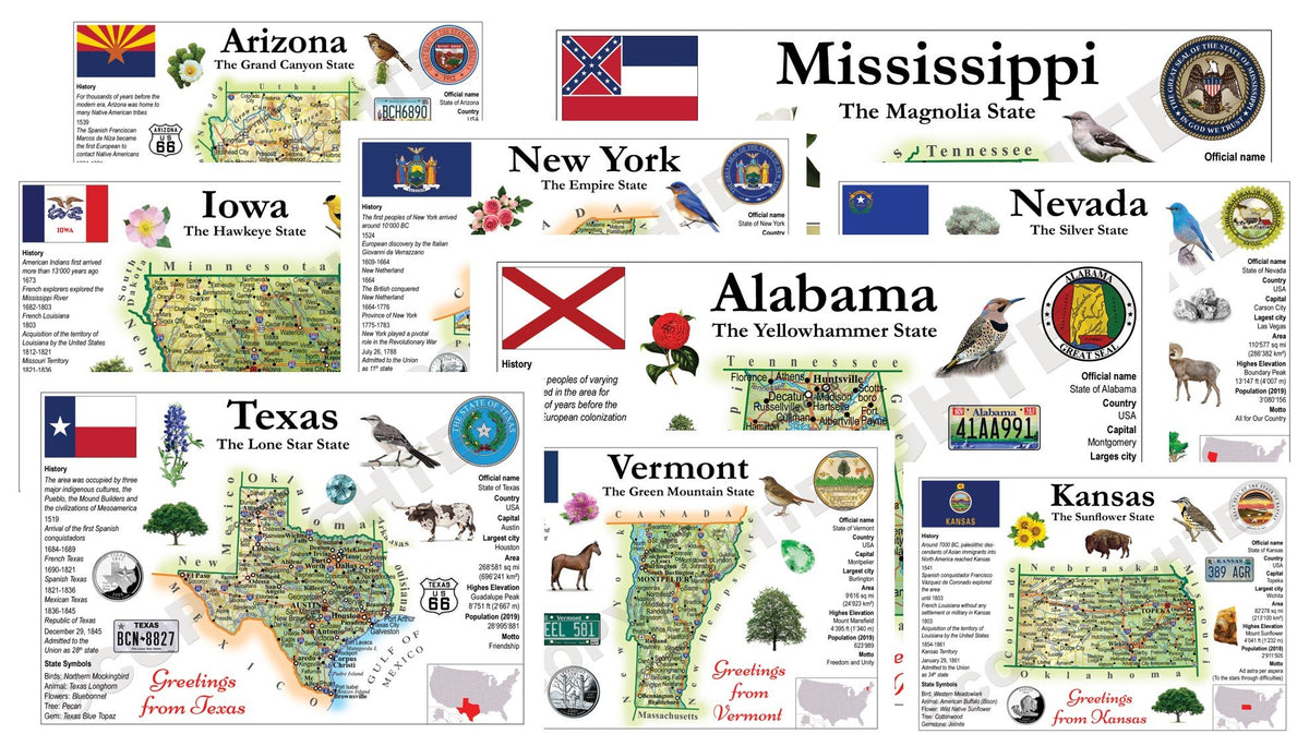 Collector's pack: ALL 50 STATES + Washington DC (MOTW US) - pack of 51 ...