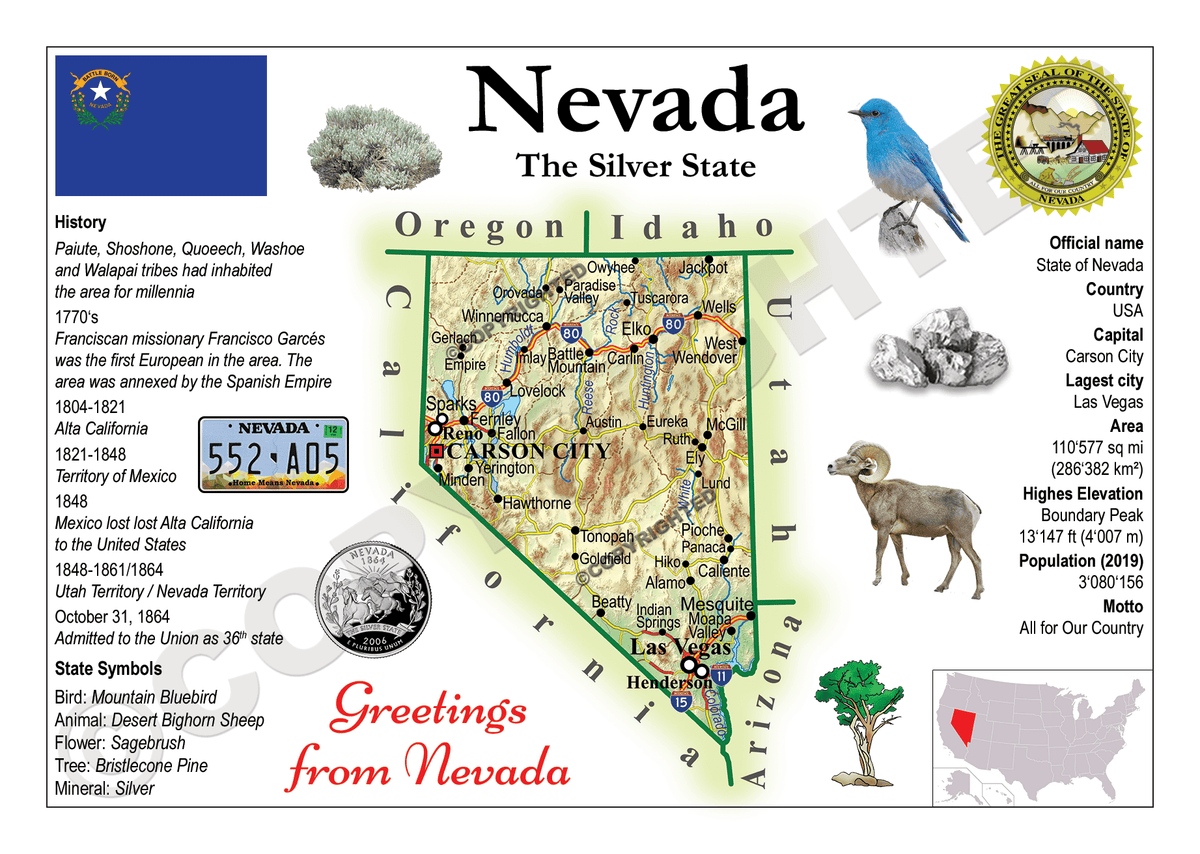 North America | U.S. Constituent - NEVADA (MOTW US)| Postcards Market