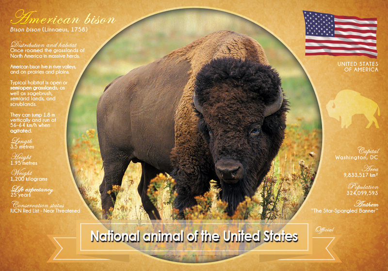 National Symbols| Postcards Market
