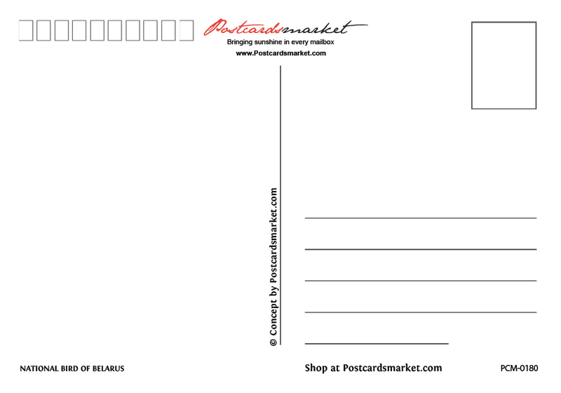 National Bird of Belarus (bundle of 5 cards)| Postcards Market