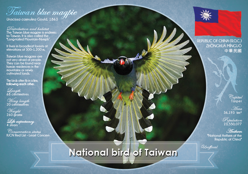 T034 - National Bird of Taiwan - T034| Postcards Market