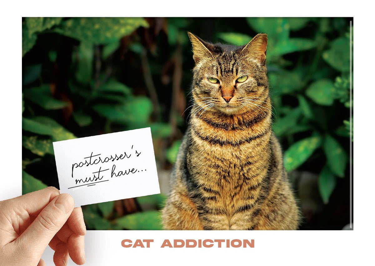 Postcrosser's Must Have| Postcards Market